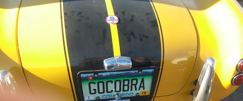 GOCOBRA | WhatAPlate.com - The Coolest Vanity License Plates! #whataplate